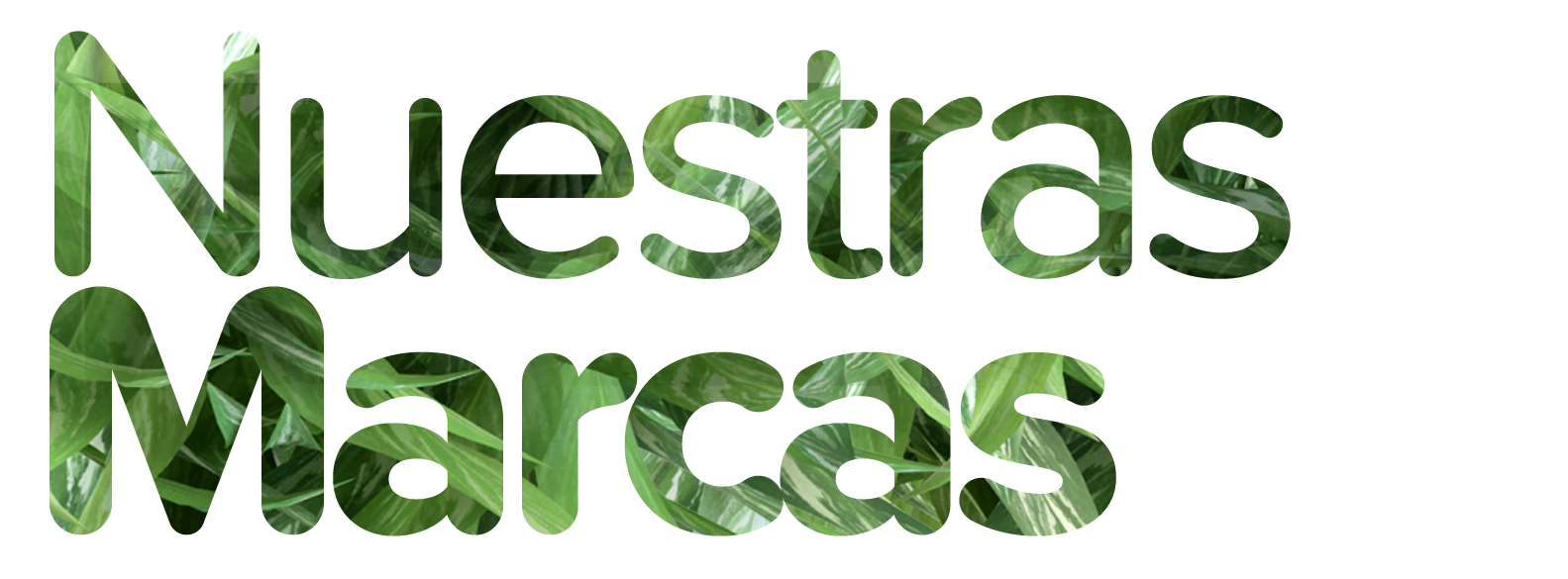 Nuestras marcas archivo - Almacentro